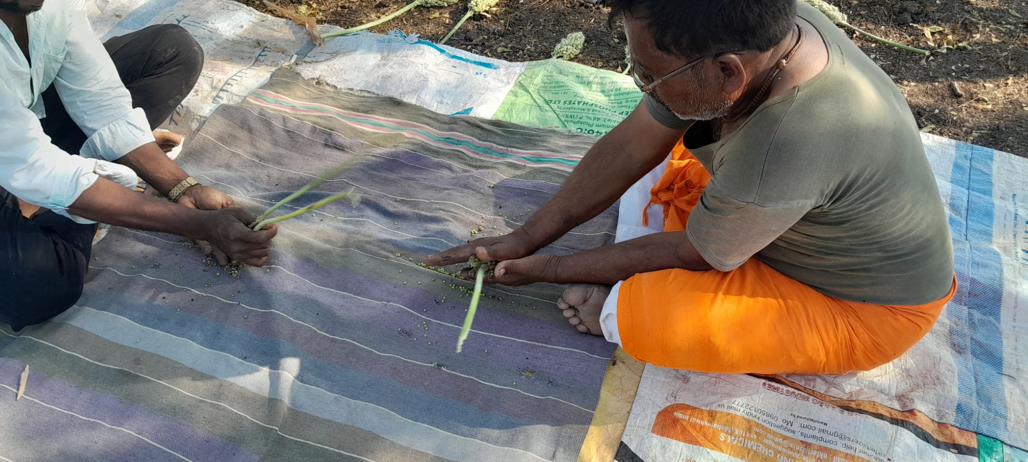 Hurda Party: A Rural Feast from Maharashtra…! – avatibhavati.com