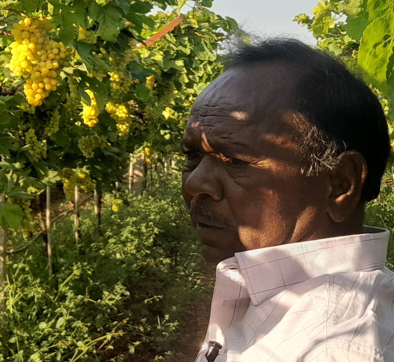 Hurda Party: A Rural Feast from Maharashtra…! – avatibhavati.com