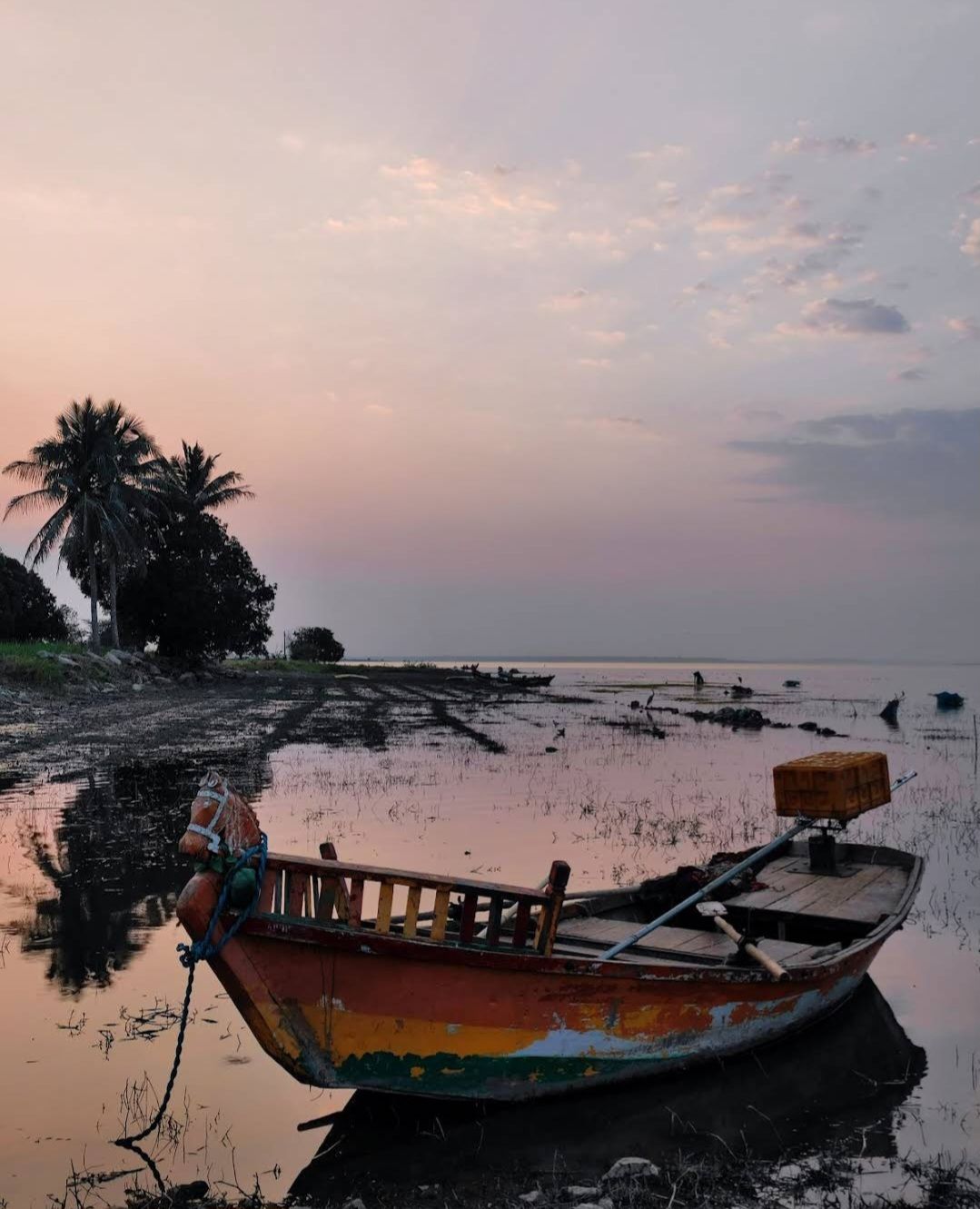 “Summer and Ujani Reservoir – An Unforgettable Experience ...